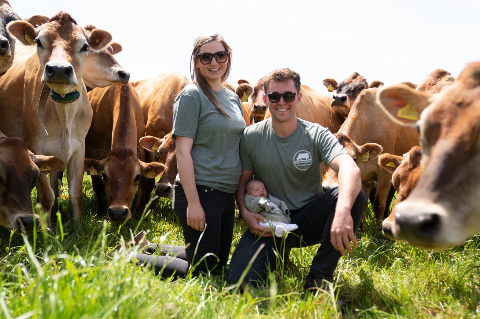 Contact – South Devon Dairy