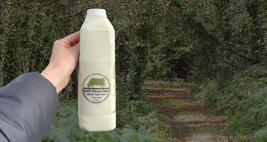 South Devon Dairy