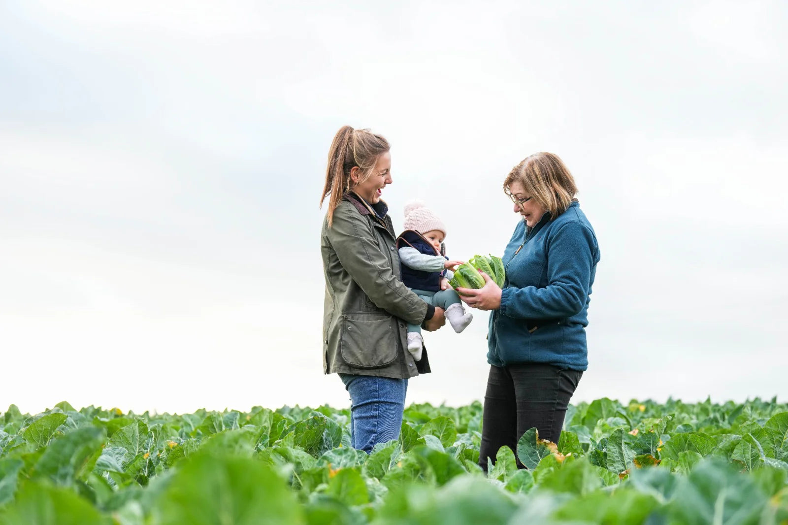 South Devon Dairy Produce